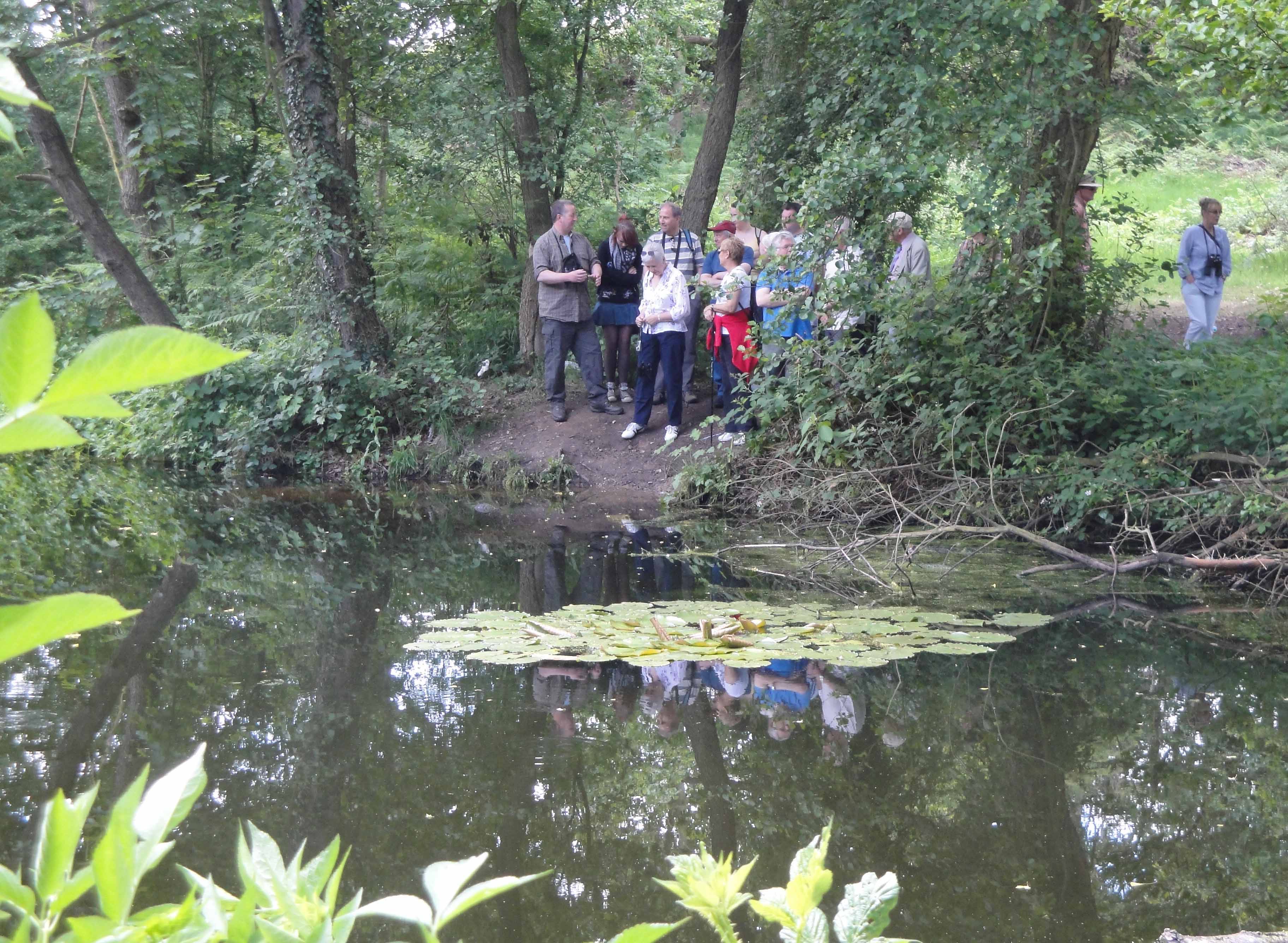 Spa Ponds Walk | Nature, Nature | Our Mansfield & Area