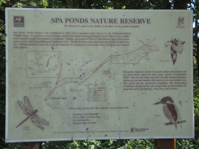 Spa Ponds Walk | Nature, Nature | Our Mansfield & Area