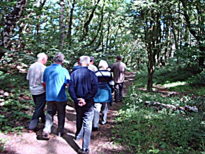 Spa Ponds Walk | Nature, Nature | Our Mansfield & Area