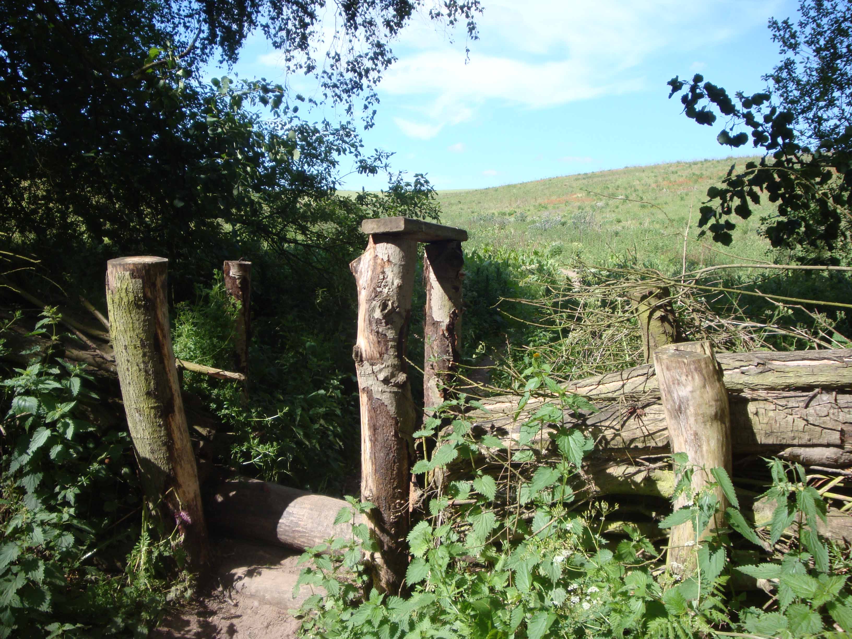 Spa Ponds Walk | Nature, Nature | Our Mansfield & Area