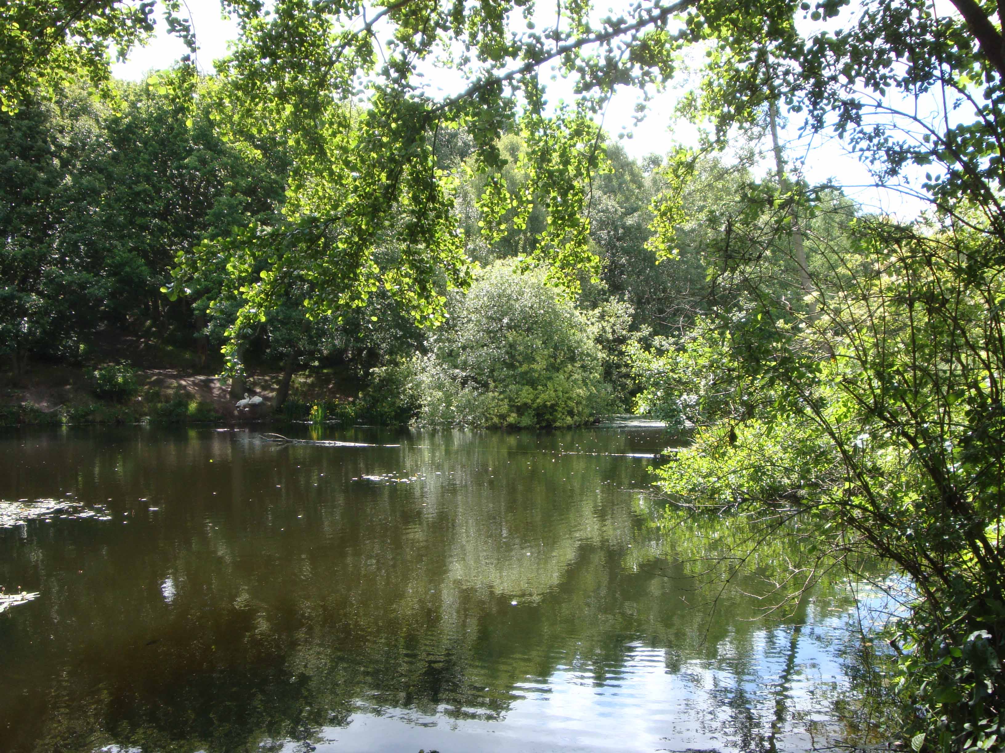 Spa Ponds Walk | Nature, Nature | Our Mansfield & Area