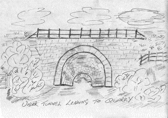 Quarry Lane....Mansfield | Mansfield (Miscellaneous) | Our Mansfield & Area