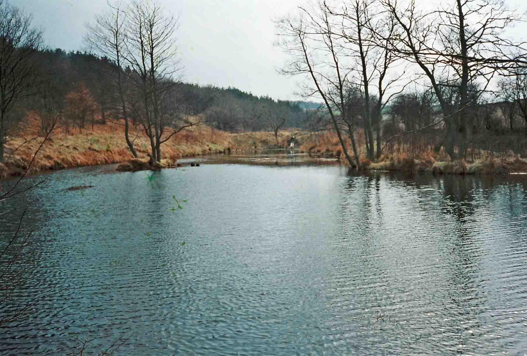 Garibaldi Woods - Spa Ponds - Gara Ponds | Nature, Nature | Our ...