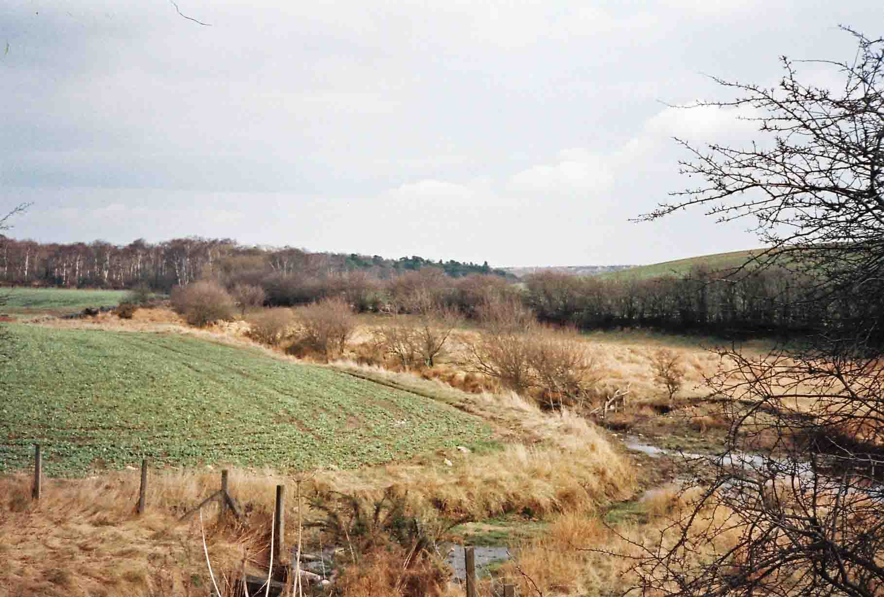 Garibaldi Woods - Spa Ponds - Gara Ponds | Nature, Nature | Our ...