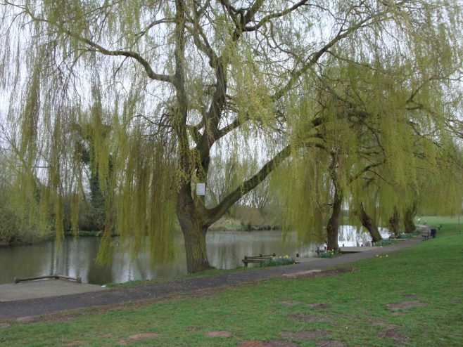 Warsop, Warsop Vale & Church Warsop | Warsop | Our Mansfield & Area